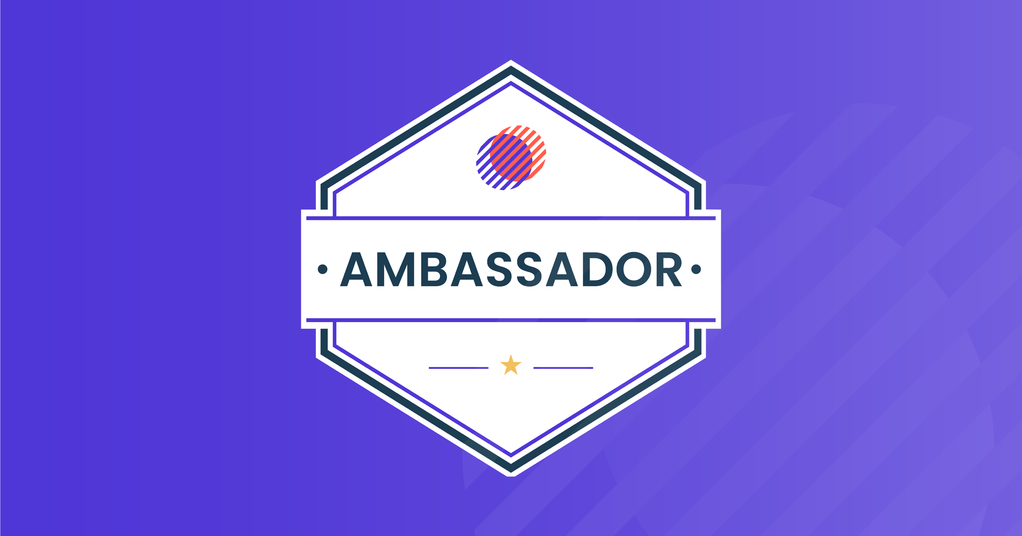 Meet our ambassadors